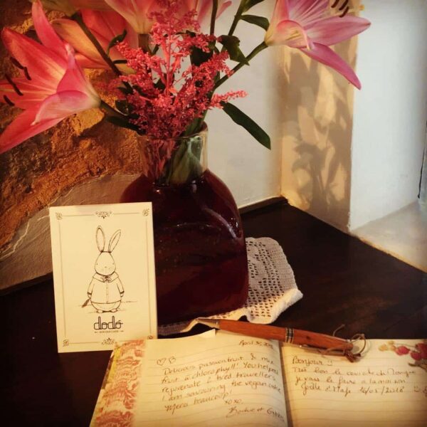 Dodó Bon Pan Café is "Owned" by a Rabbit From France! - Panama Casco Viejo