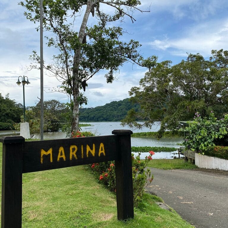 Freshwater Fishing in Lake Gatun - Panama Casco Viejo