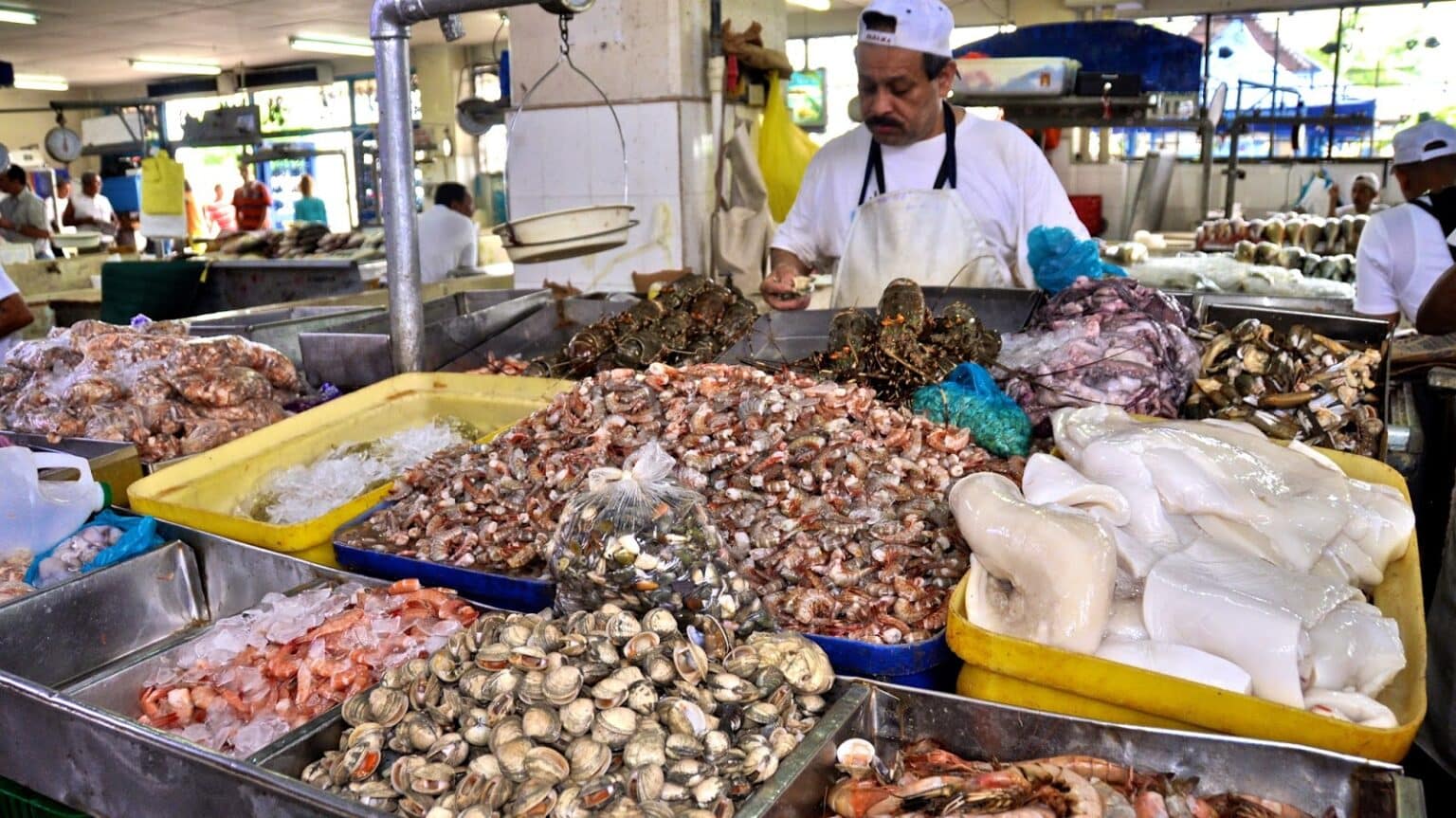 Eat or Buy Fresh Seafood in the Fish Market in Panama City - Panama ...