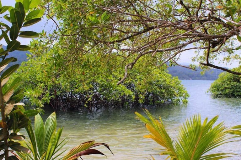Portobelo Beaches, Snorkeling and Kayak - Panama Casco Viejo