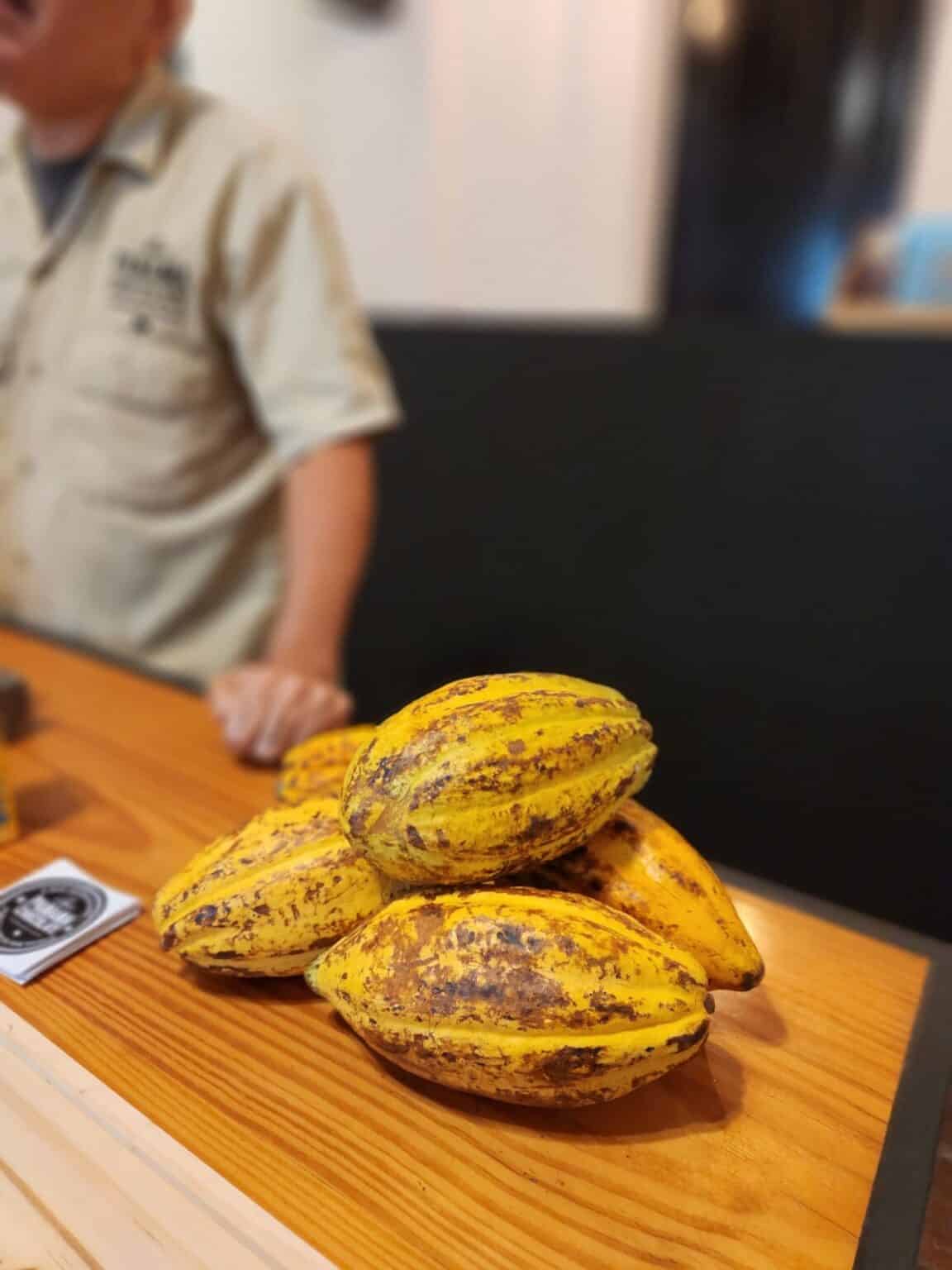 I Love Panama Chocolate Tours and Store in Casco Viejo - Panama Casco Viejo